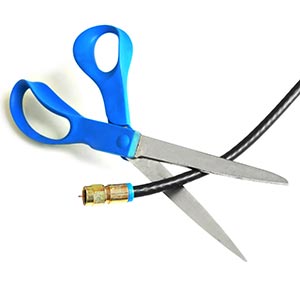 How To Cut the Cord on Your Cable Service • Queen Bee of Honey Dos